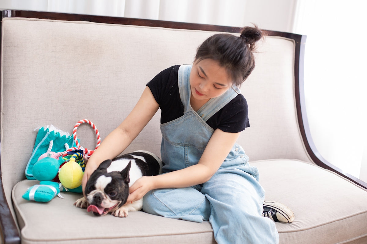 Exploring Green Alternatives for Pets: Ensuring a Chemical-Free Pet ...
